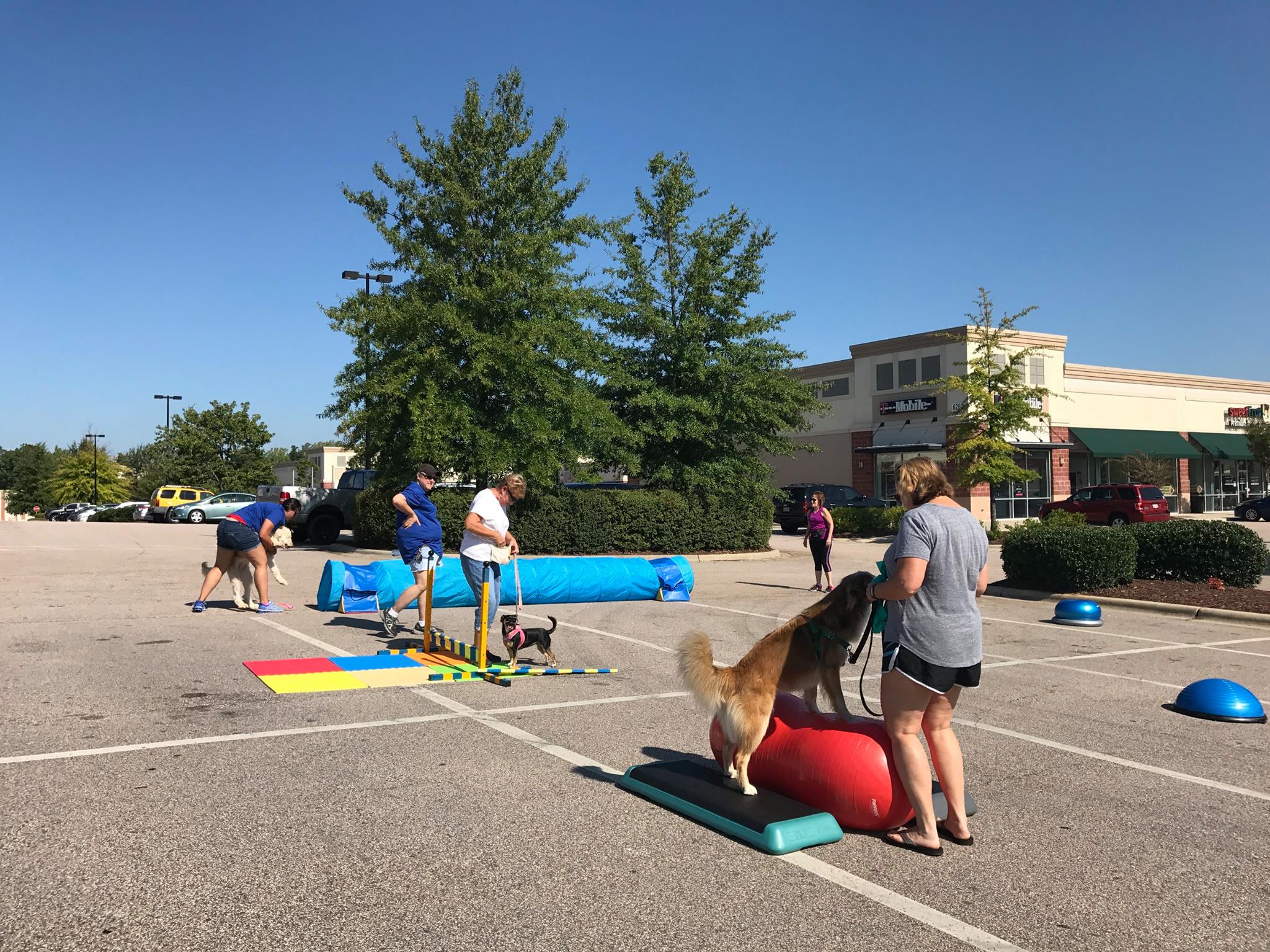 Agility/ Obstacle Course | Training Your Best Friend